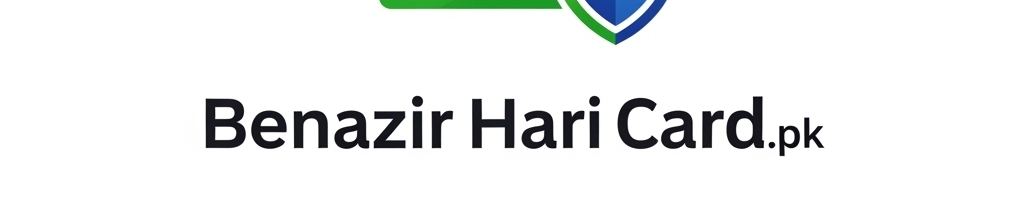 KPK Driving License Online Apply – Complete Guide - benazirharicard.pk